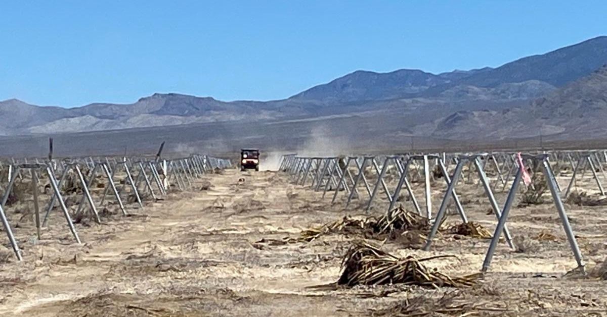 Conservation groups sue the feds over the Greenlink West Transmission ...