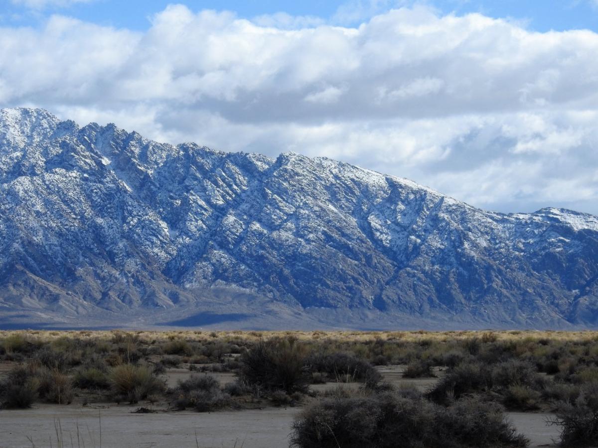 Conservation groups sue the feds over the Greenlink West Transmission ...