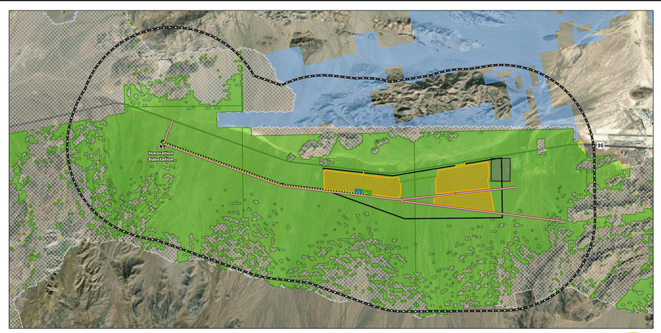 Oppose the Bonanza Solar Project on Crucial Desert Tortoise Habitat