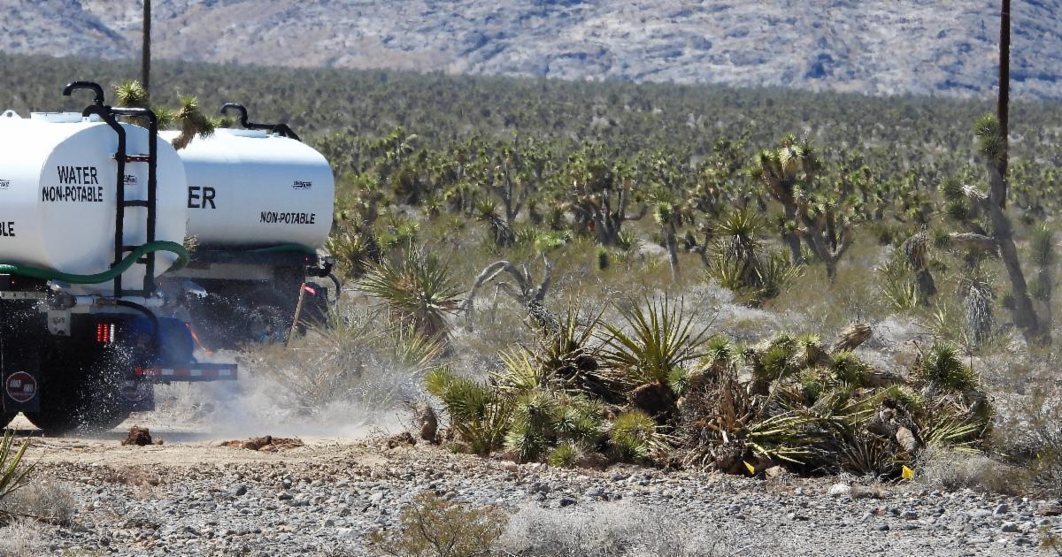 Conservation groups sue the feds over the Greenlink West Transmission ...