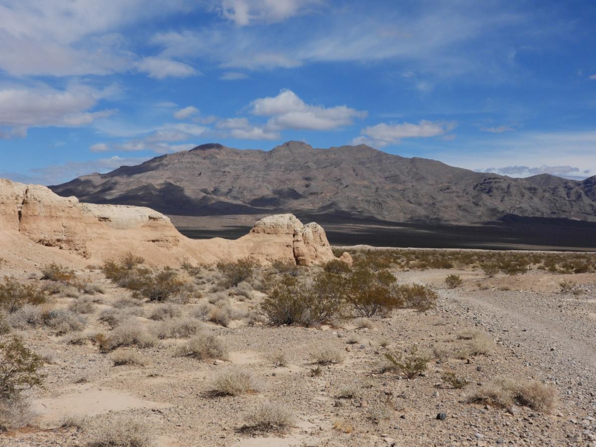 Conservation groups sue the feds over the Greenlink West Transmission ...