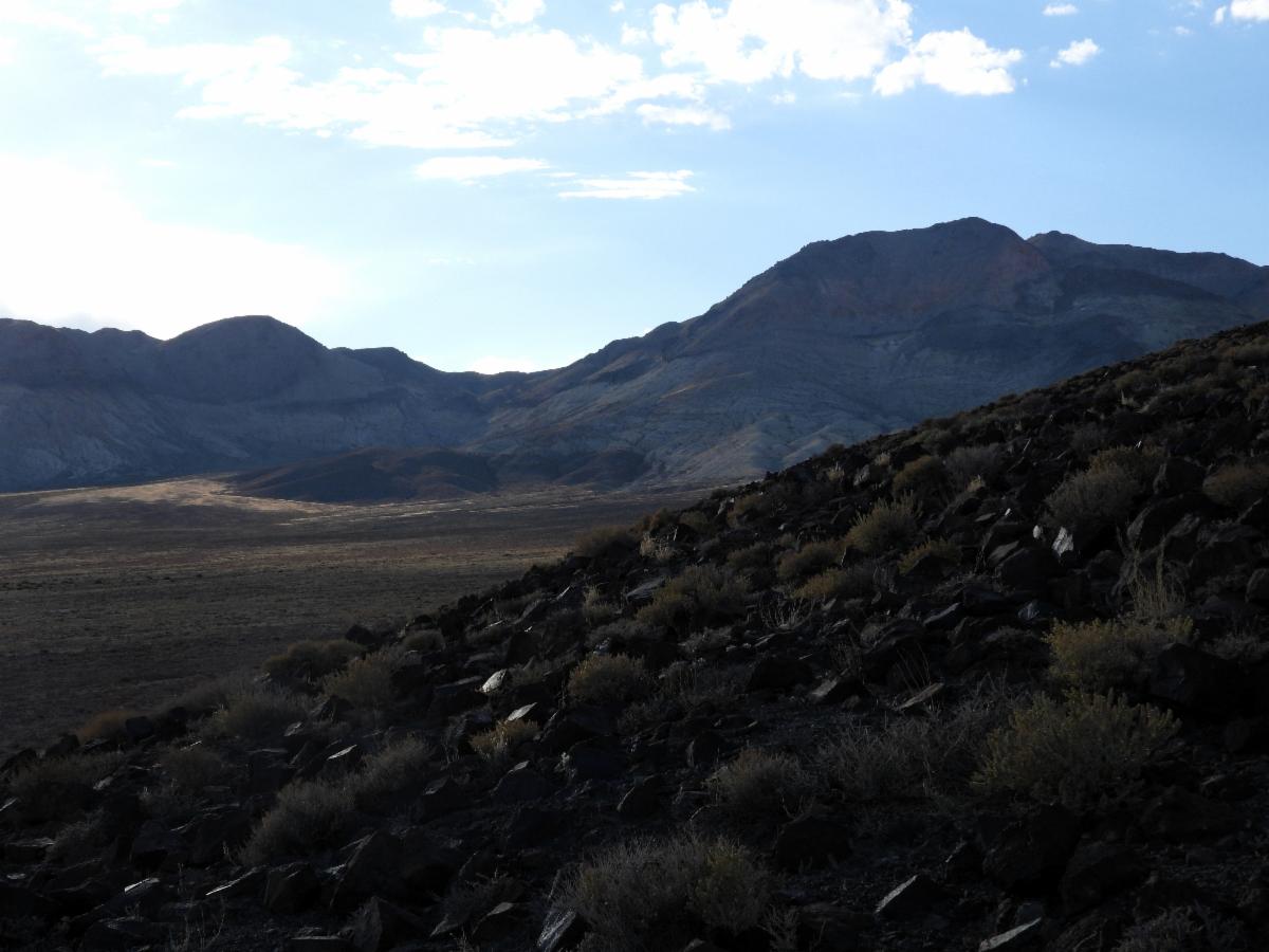 Conservation groups sue the feds over the Greenlink West Transmission ...