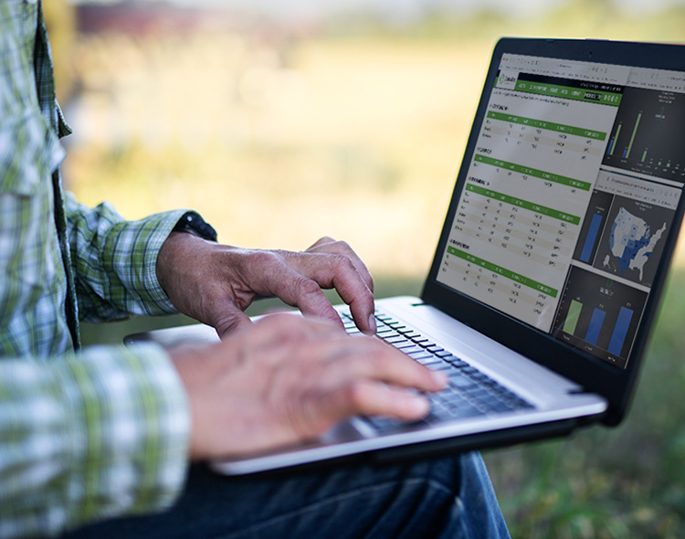 Market Insights for Cultivating Growth