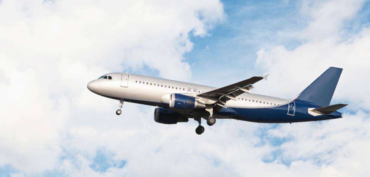 Your Exclusive Updates and Insights: PSA from TSA Air Exporters, Trends ...