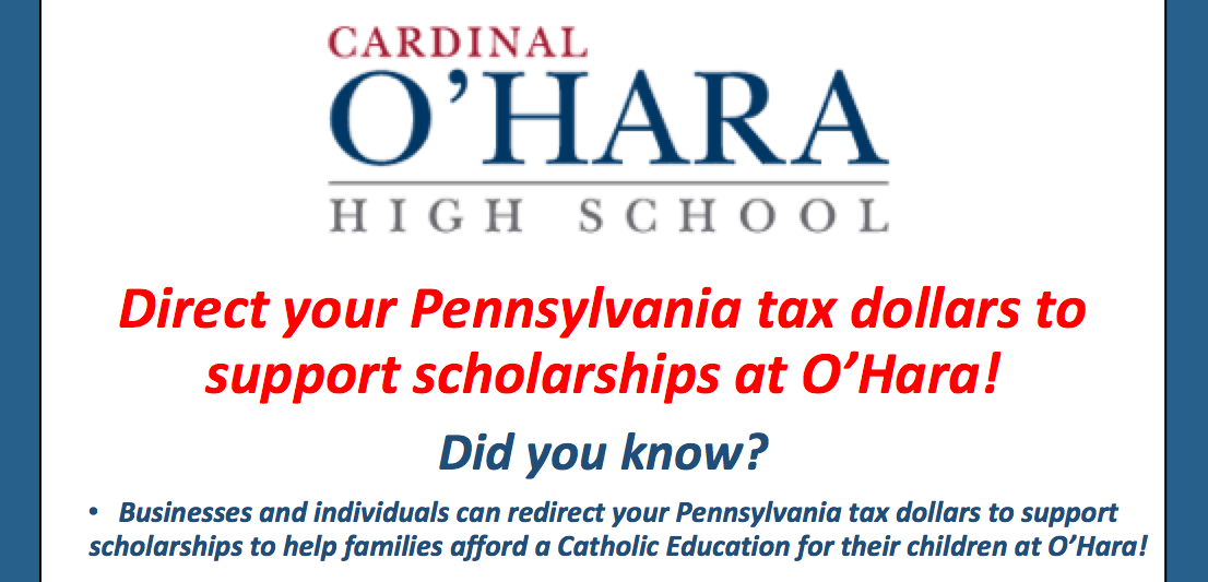 The Latest COHS Alumni News