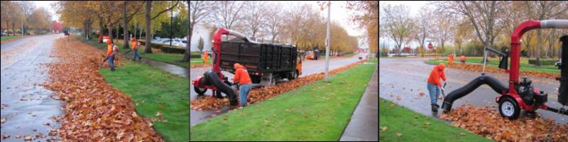 Leaf Dump Clean-Up Is Our Priority