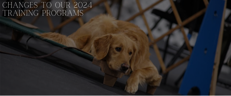 Welcome to WestInn Kennels Training Academy