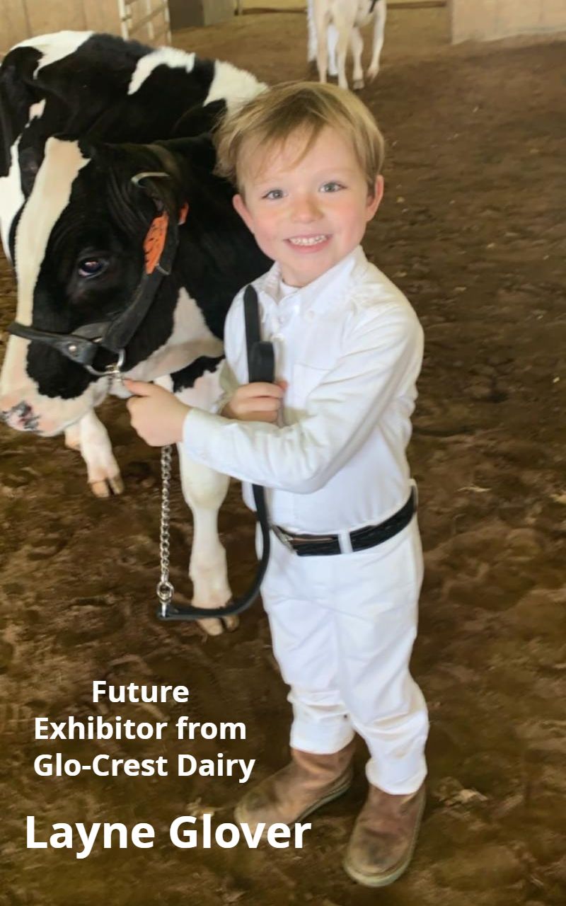 2019 Spring GDYF E-Moos