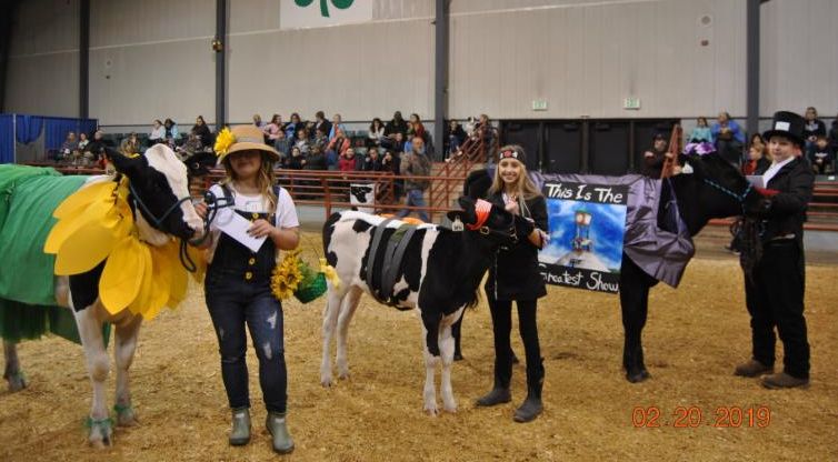 2019 Spring GDYF E-Moos