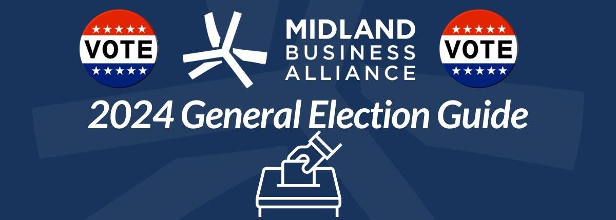 The 2024 General Election Guide