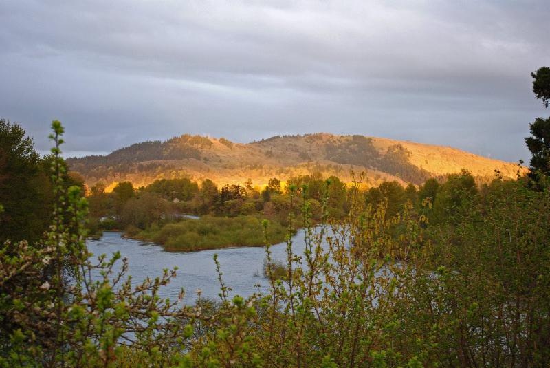 Fall Foliage Around Lane County