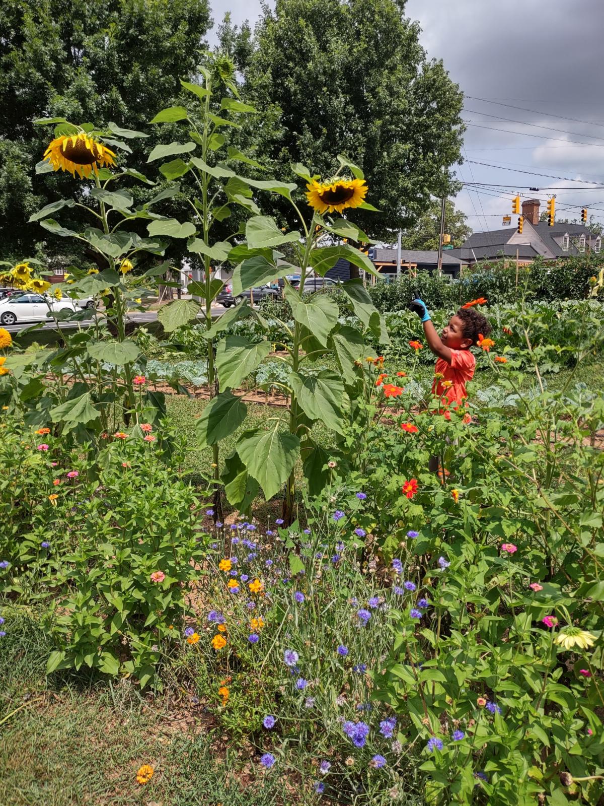 GCPC Weekly News | August 3, 2023