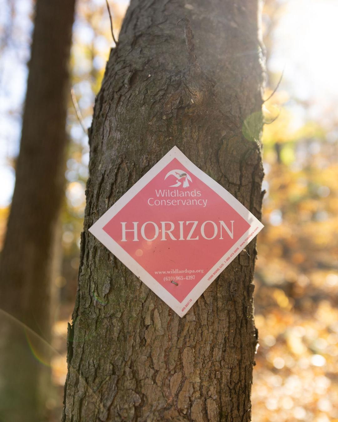 A fresh perspective, a fresh start, and refreshing trail friends 🏔️🎉