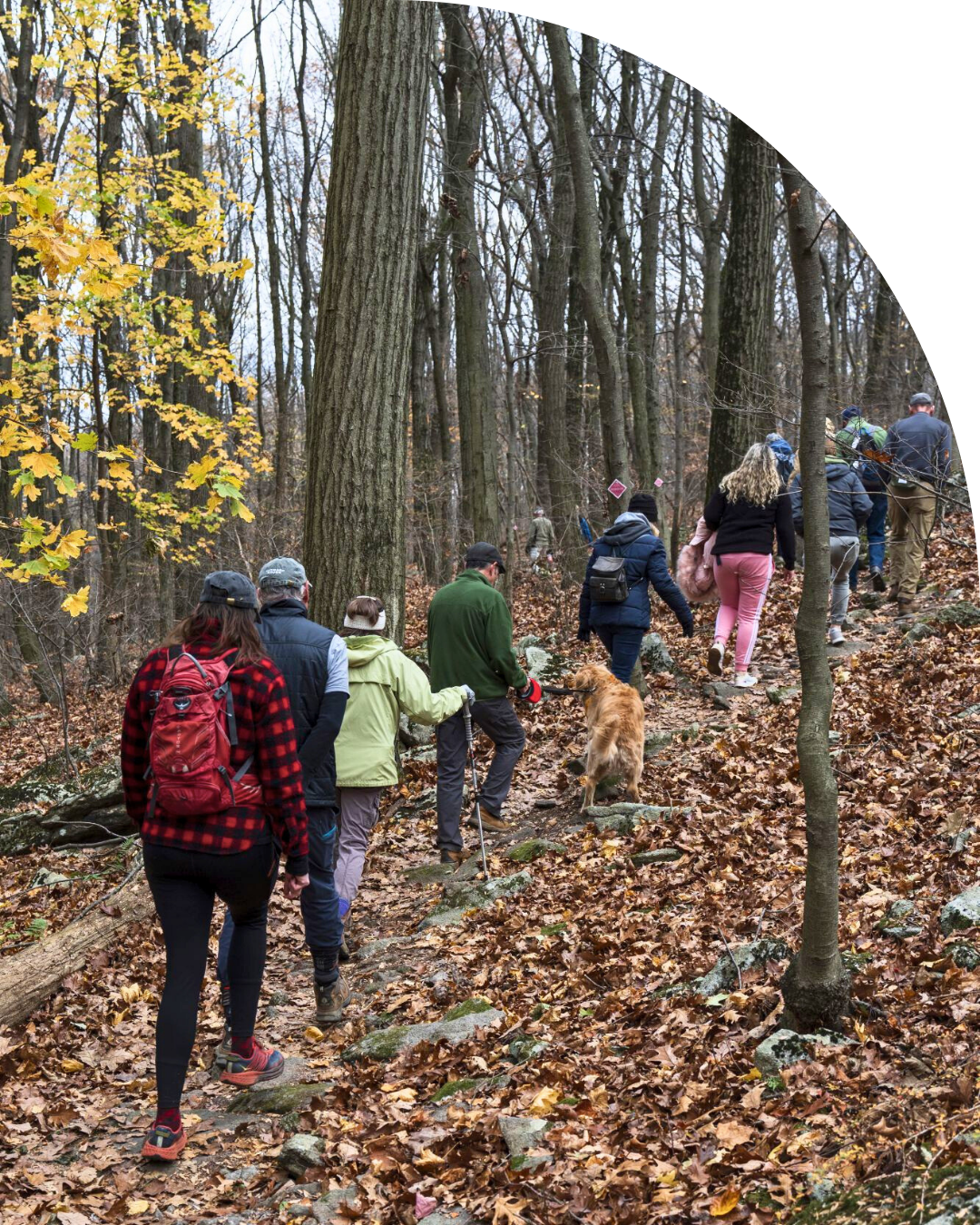 A fresh perspective, a fresh start, and refreshing trail friends 🏔️🎉