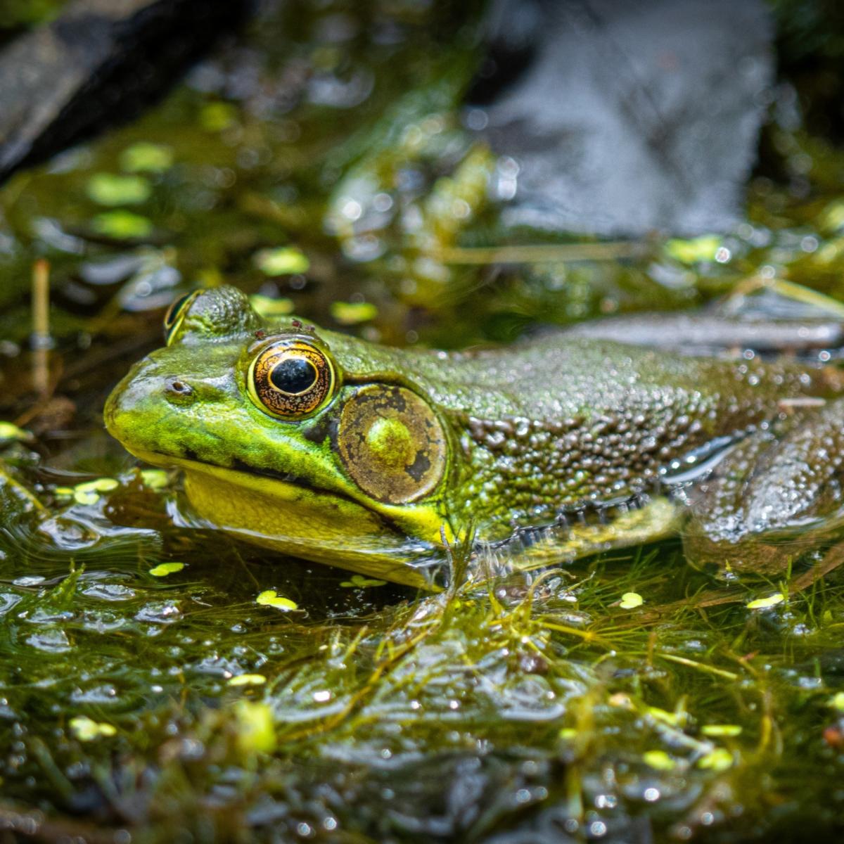 May Programs 🌎🎁