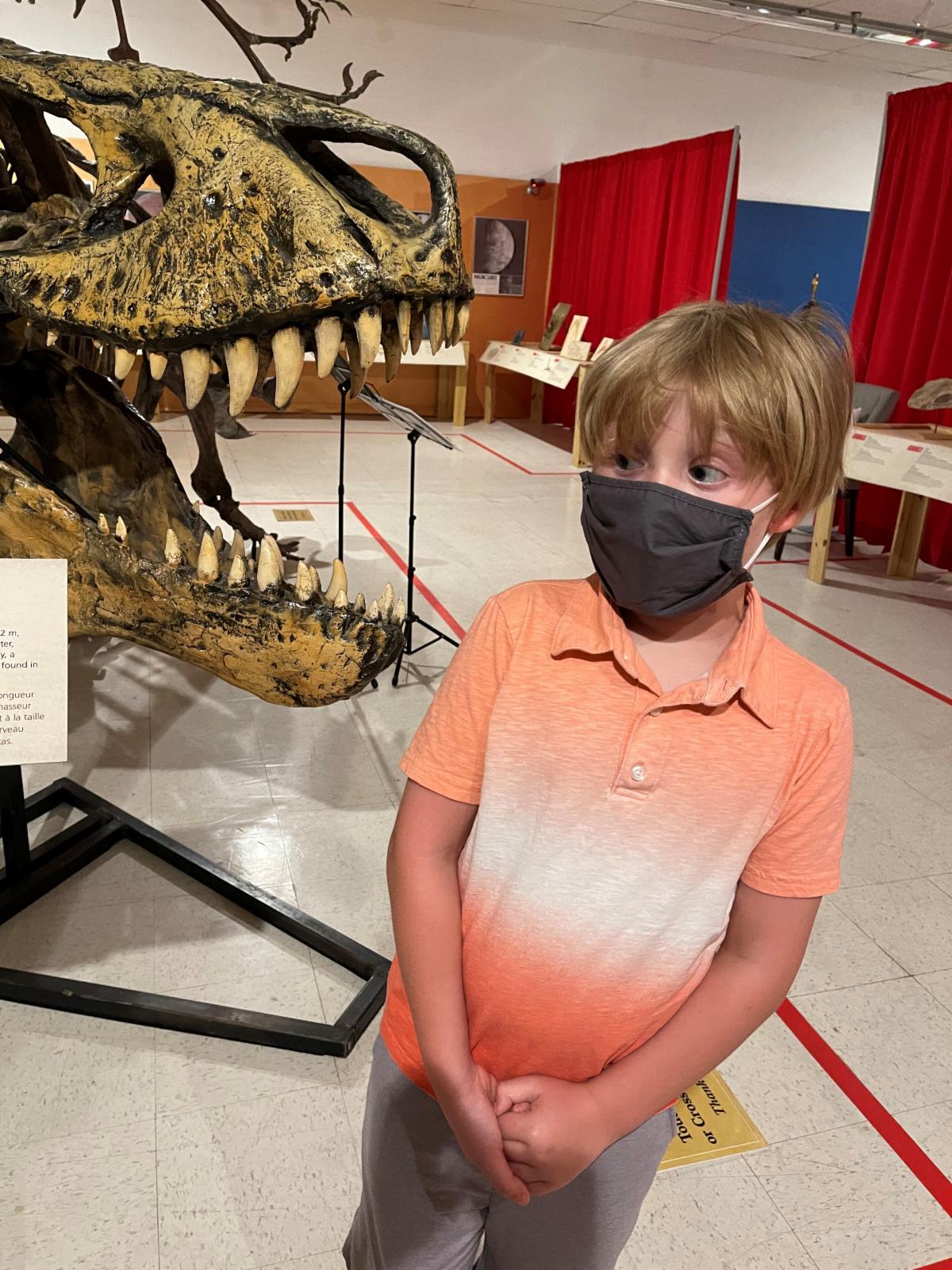 MoAW - SPOTLIGHT - Archaeopteryx lithographica - Ancient Wing