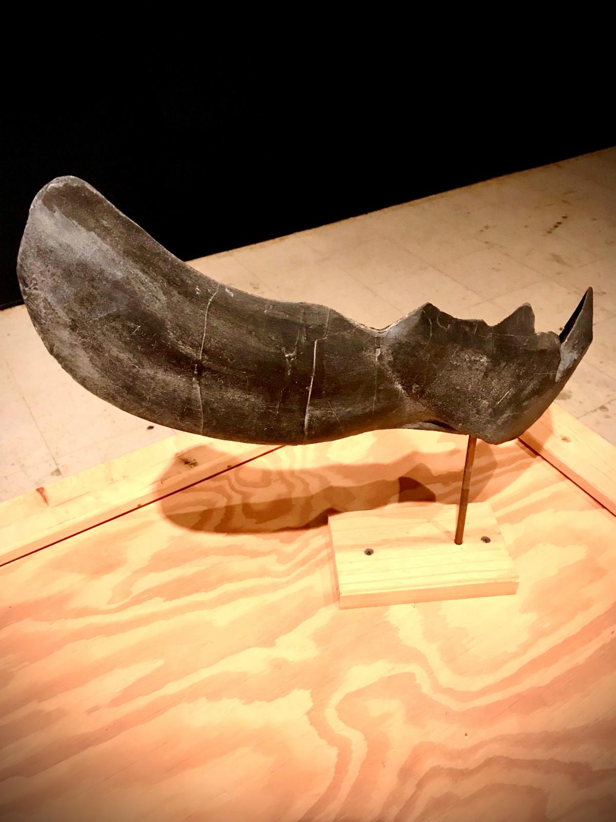 SPOTLIGHT - October 7, 2022 - The World of Proto-Fishes - 500 Million ...