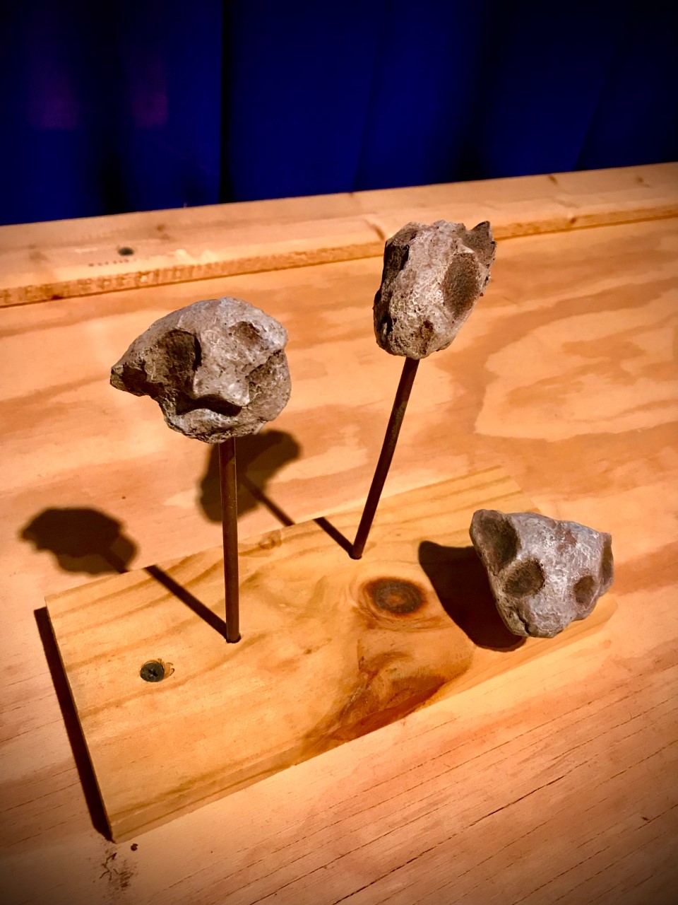 SPOTLIGHT - April 7, 2023 - AEROSAURUS - The Air Lizard