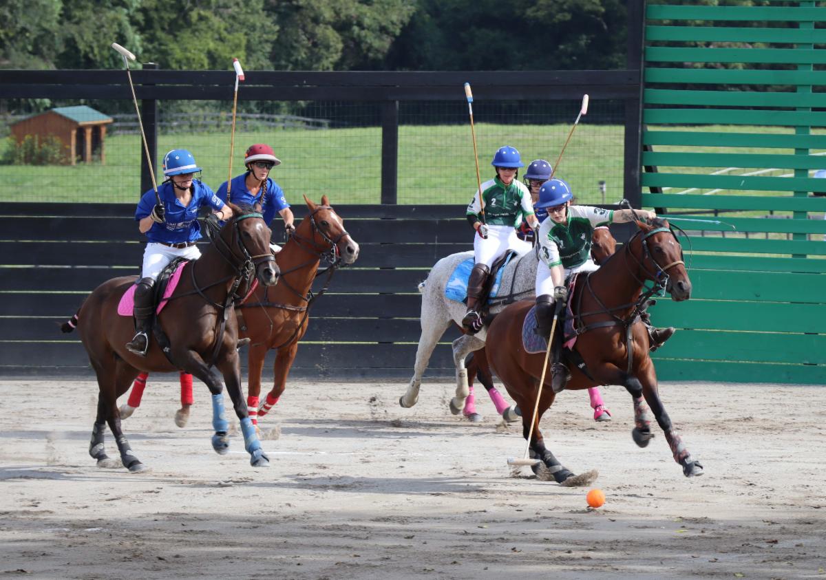 October 2022 Polo Newsletter