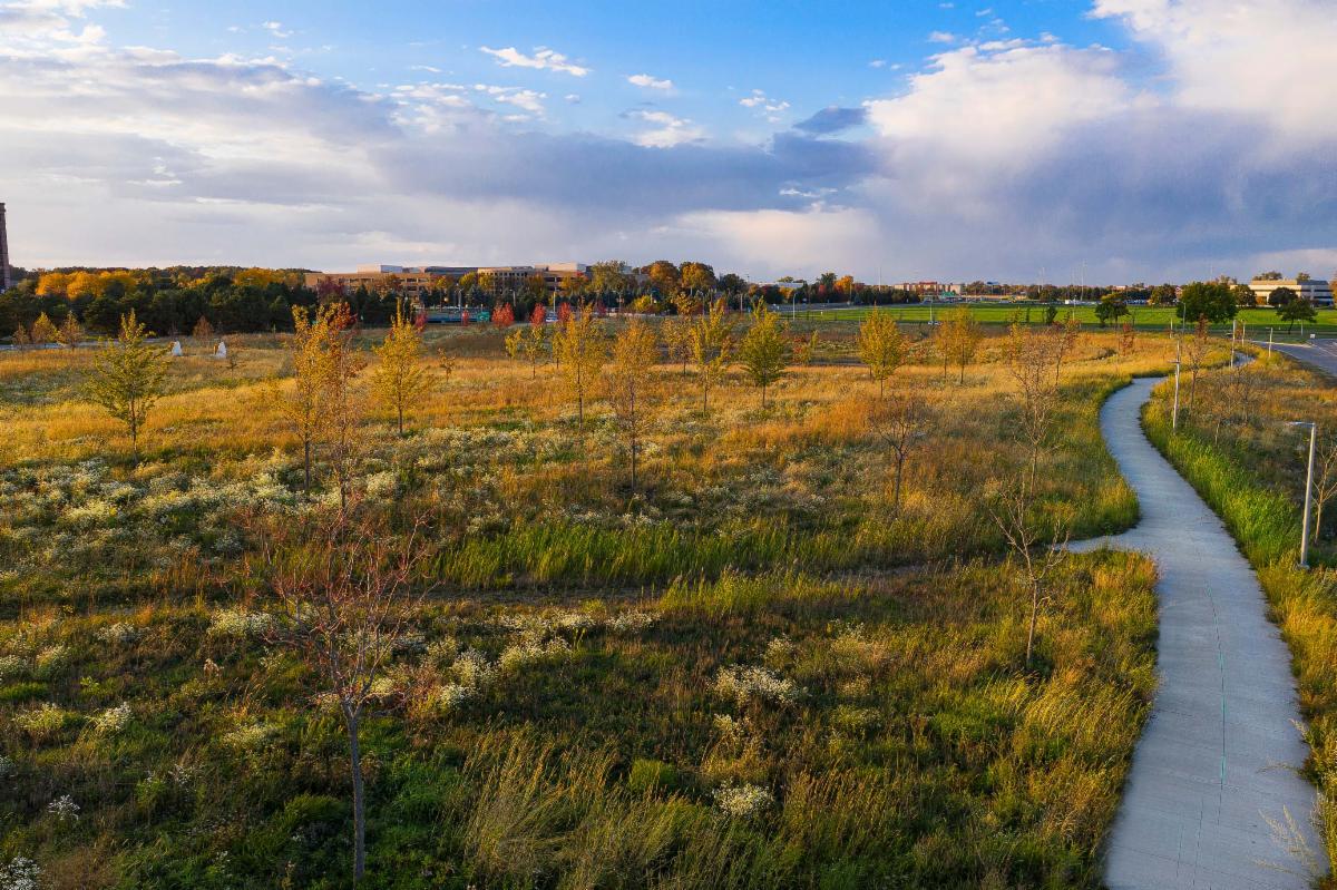 Announcing the 2023 BSLA Design Awards JURY