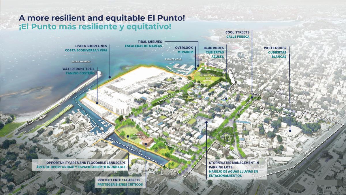 Announcing the 2025 BSLA Design Awards JURY