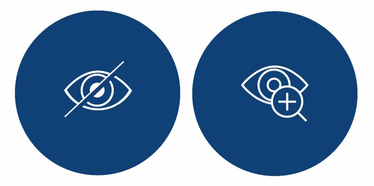 The Livanta Compass 1-05