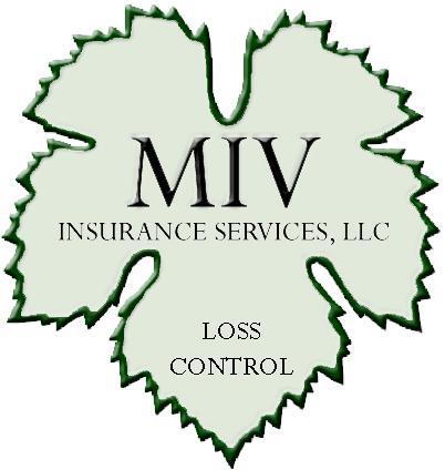 MIV Core Curriculum Summary