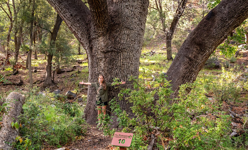 Arizona Forestry in Focus: September 2025