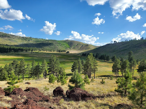 Arizona Forestry in Focus: September 2025