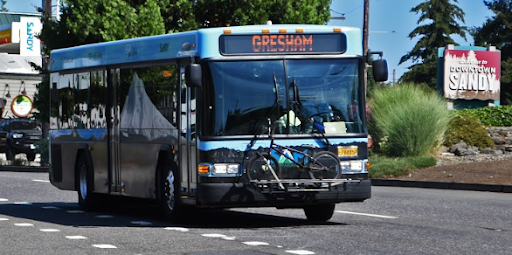 The Sandy Source Newsletter - June 2025