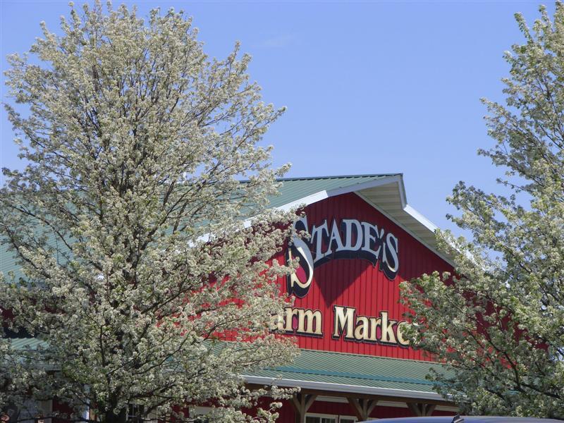 4 Day Weekend at Stade's Farm & Market