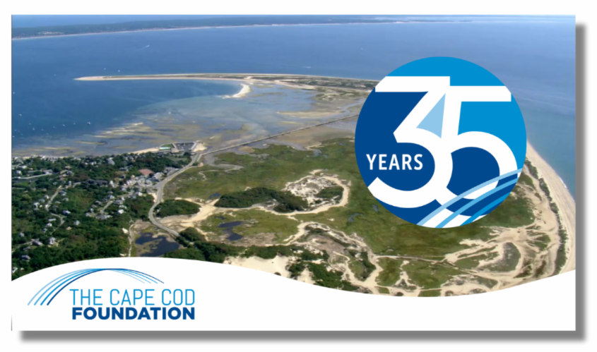 PRESIDENT AND CEO COLUMN