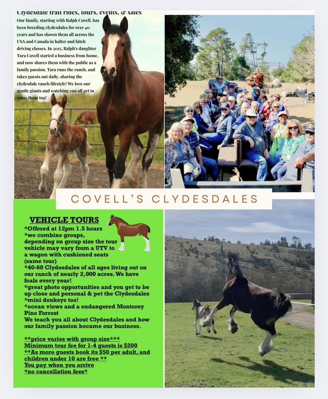 From Tara: LIFESTYLE WEEKLY UPDATE & Upcoming Events! 2/24/25!! 👇