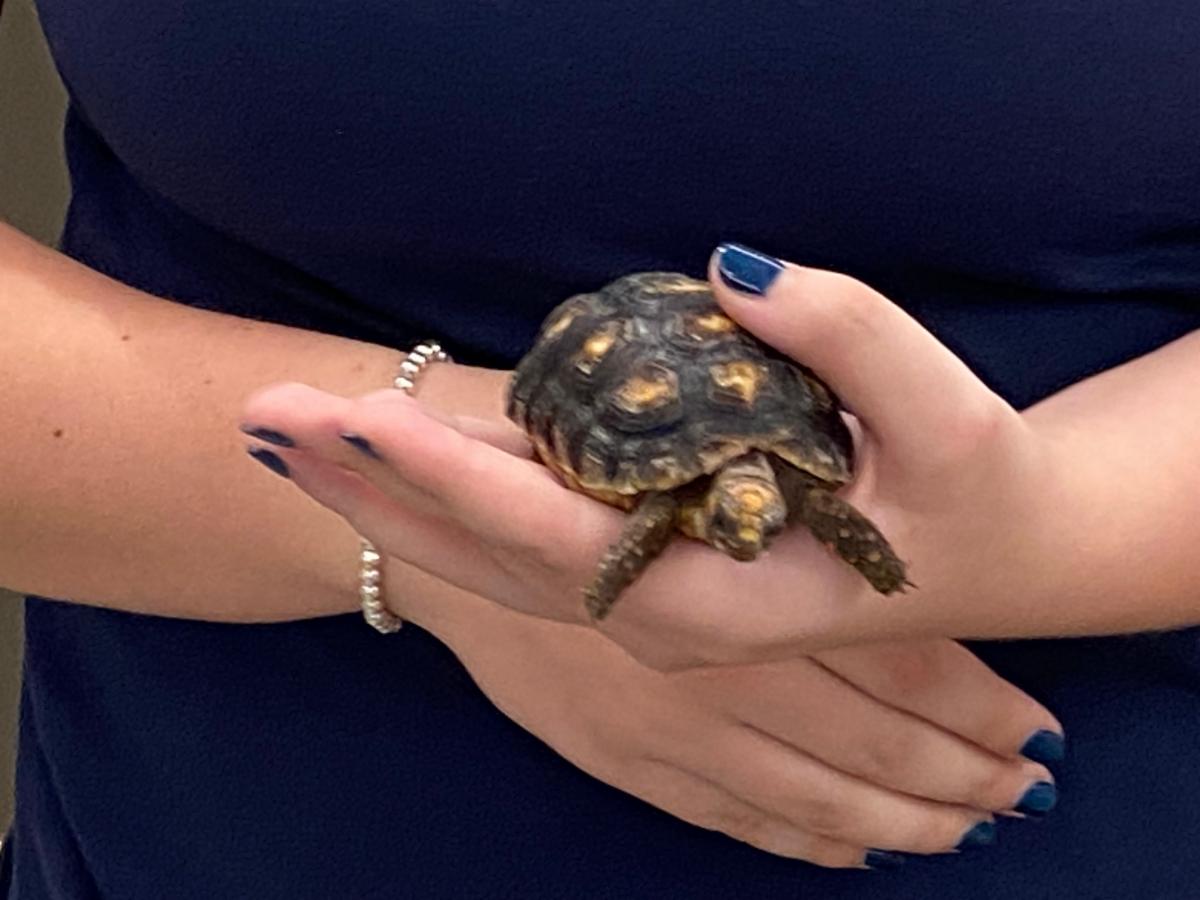 What's Happening This Week at St. Gregory's