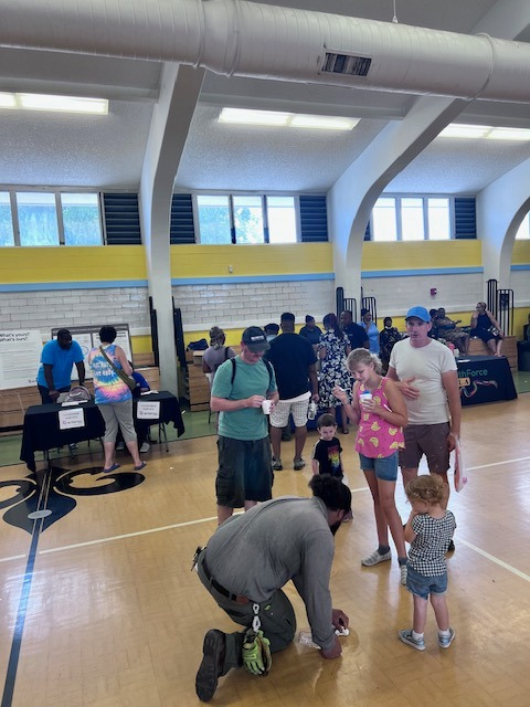 District D Updates from Councilmember Green