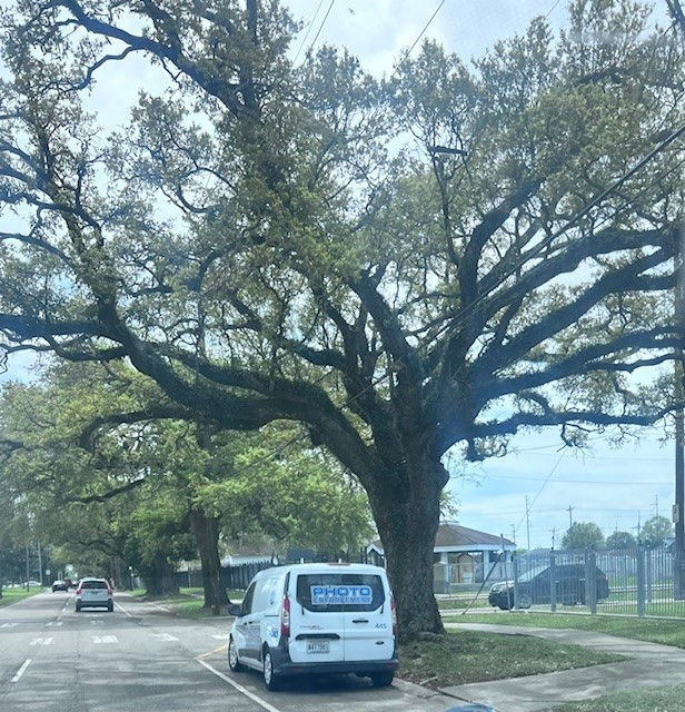 District D Updates from Councilmember Green