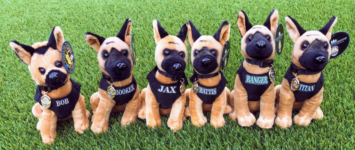 The latest news for you