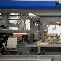 Your Plant Needs More Than a Robot—It Needs a Solution