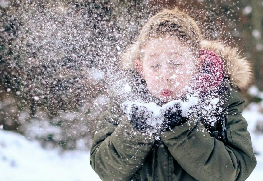 January In-Person and Online trainings in Metro