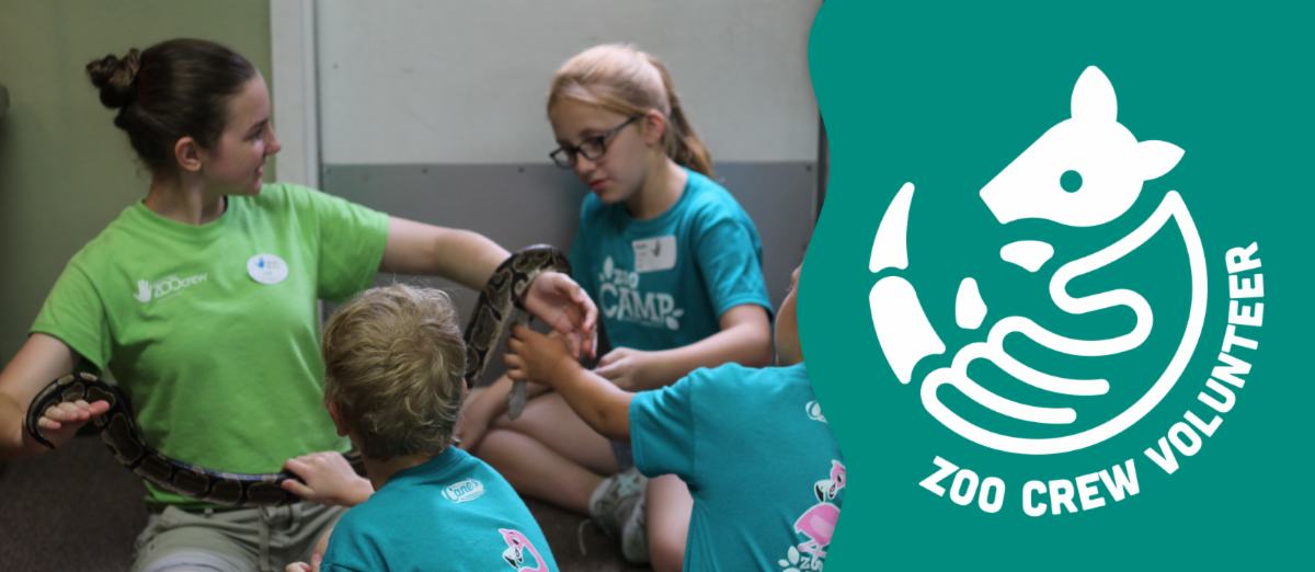 Zoo Crew Early Access Registration NOW OPEN