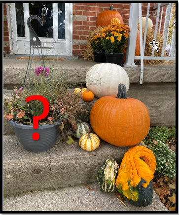 Waste Management eNews - Fall 2022