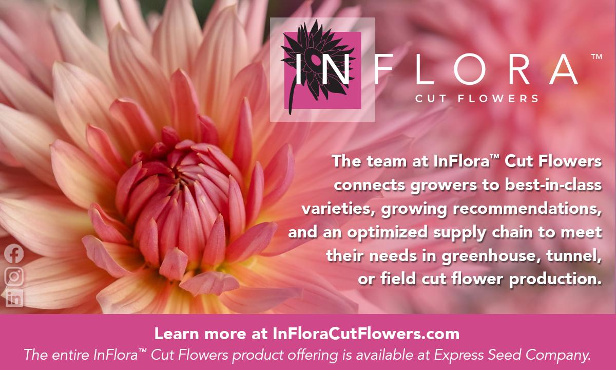 ASCFG January 2024 Update