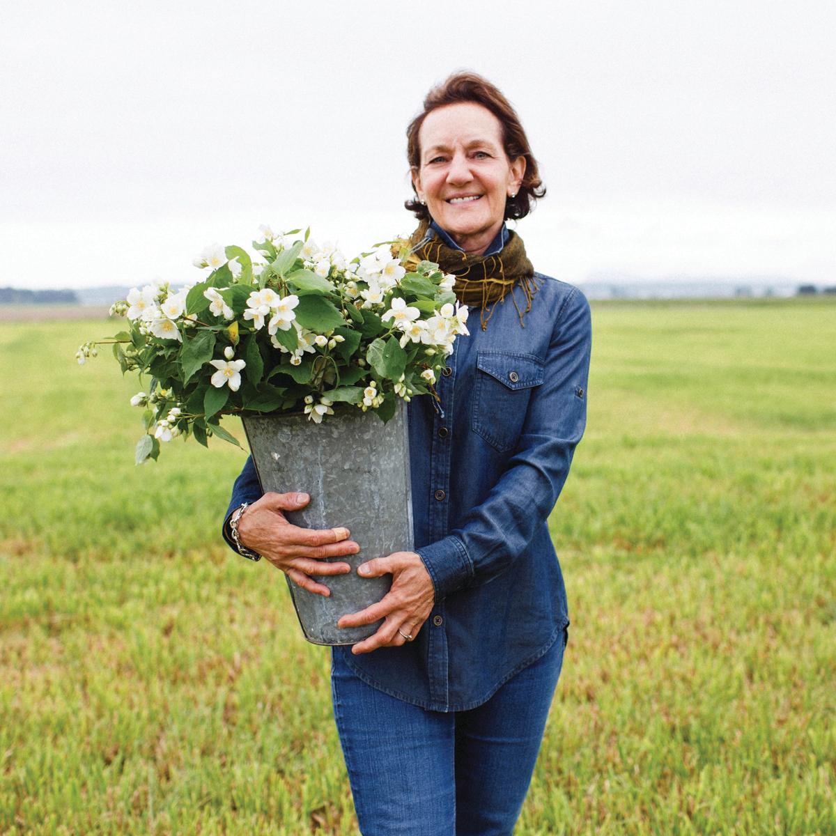 ASCFG November 2024 Update