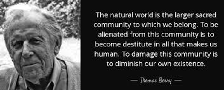 Day 11: 40-4-4 Lenten Prayer for Social Justice