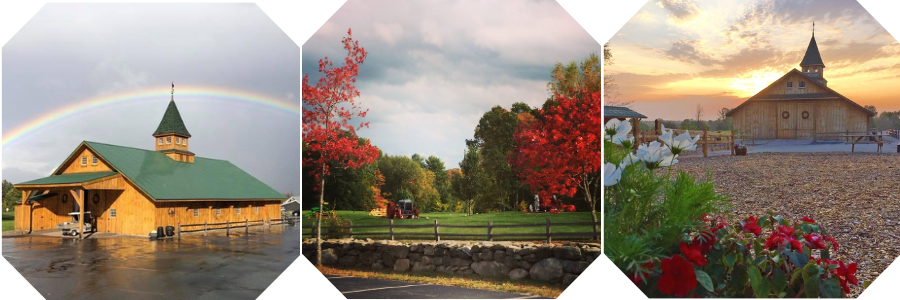 NEACC Golf Outing & Expo