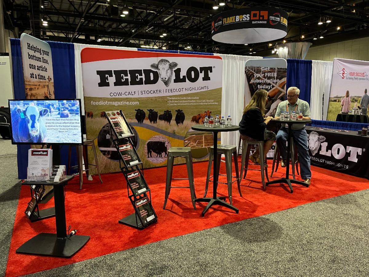 Reviewing the January Cattle On Feed Ahead of the Inventory Report