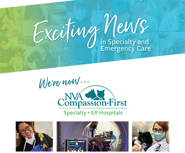 Exciting News from NVA Compassion-First