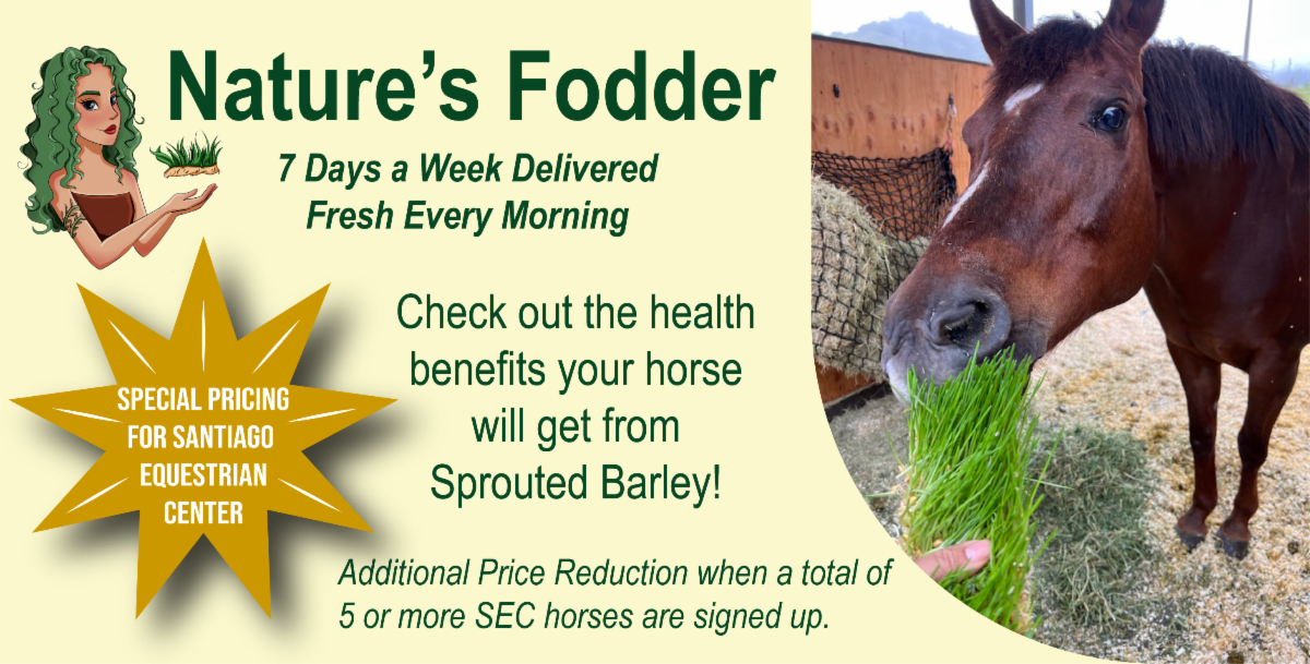 Santiago Barn Bulletin