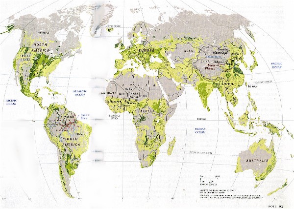 Making the World's Best Soil - Obelisk Sale!