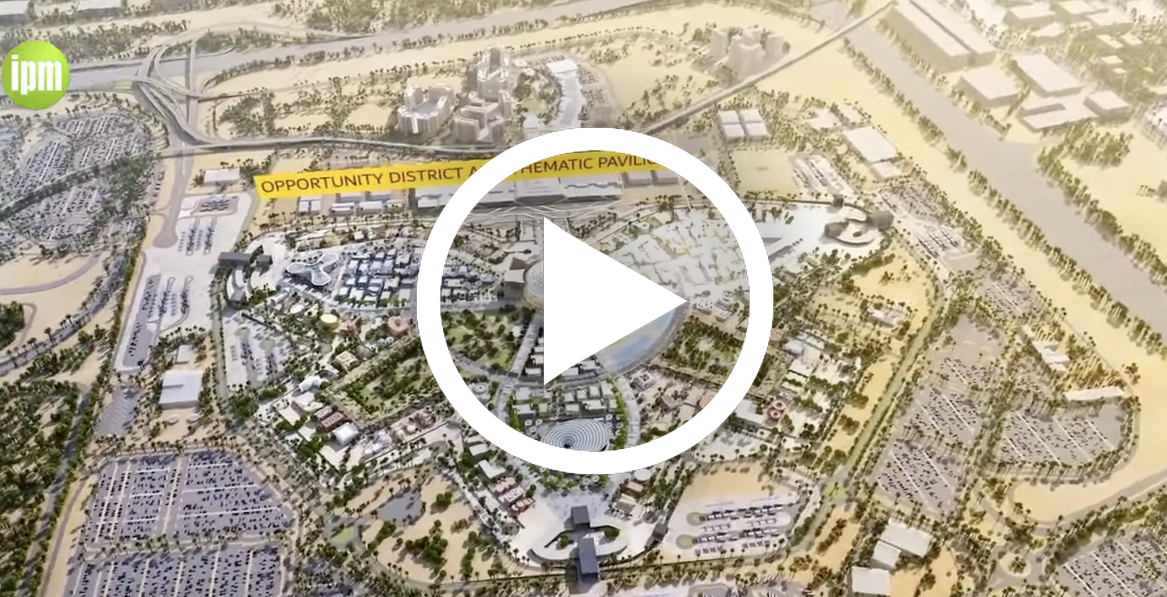 The InPark Report: August 2022